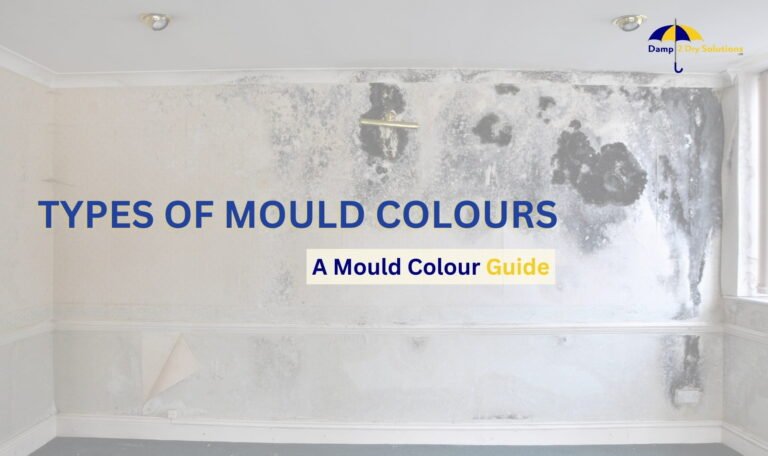 Types of Mould Colours - Mould Colour Guide